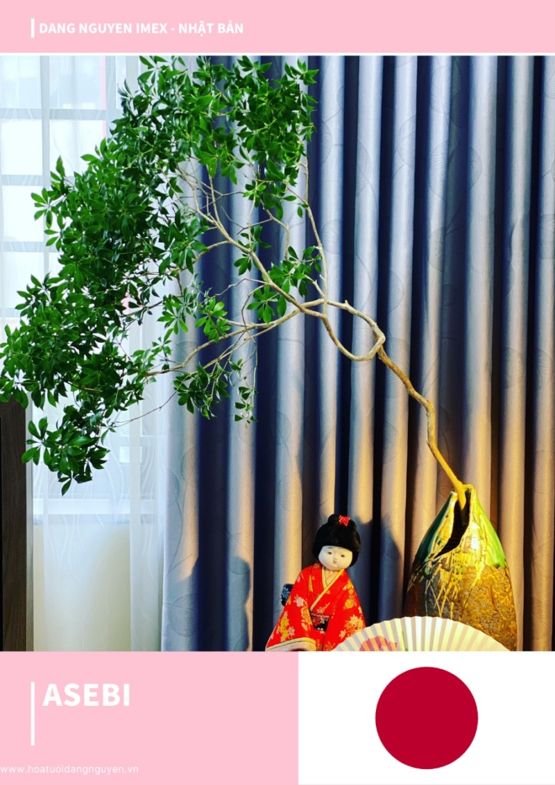 ASEBI - Hoa tươi Đăng Nguyên